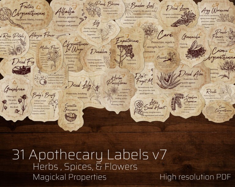 711 Small Horizontal Witchy Apothecary Jar Labels - Magik Charms